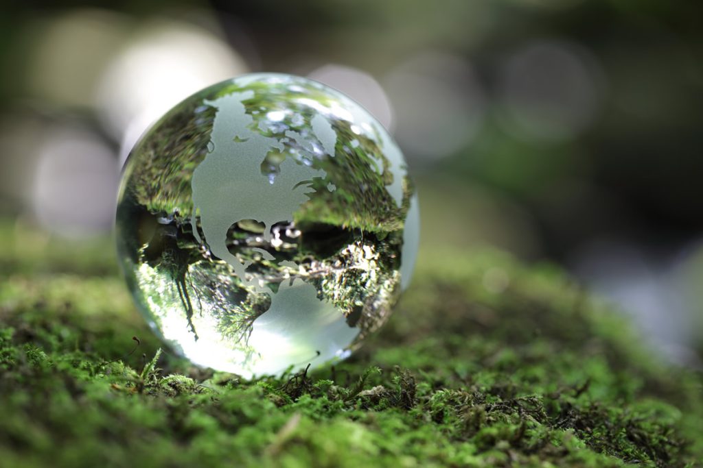 Global wood consumption in 2019, the lowest of the decade - Global Wood ...