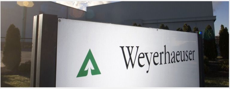 Weyerhaeuser reports strong performance in its Wood Products division ...
