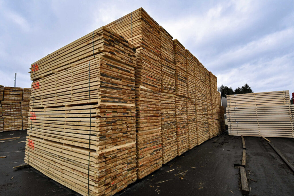 Resilient strategies emerge as German timber trade navigates market ...