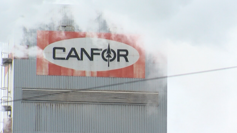 Challenging Q3/2024 for Canfor; lumber segment outlook in N. America ...